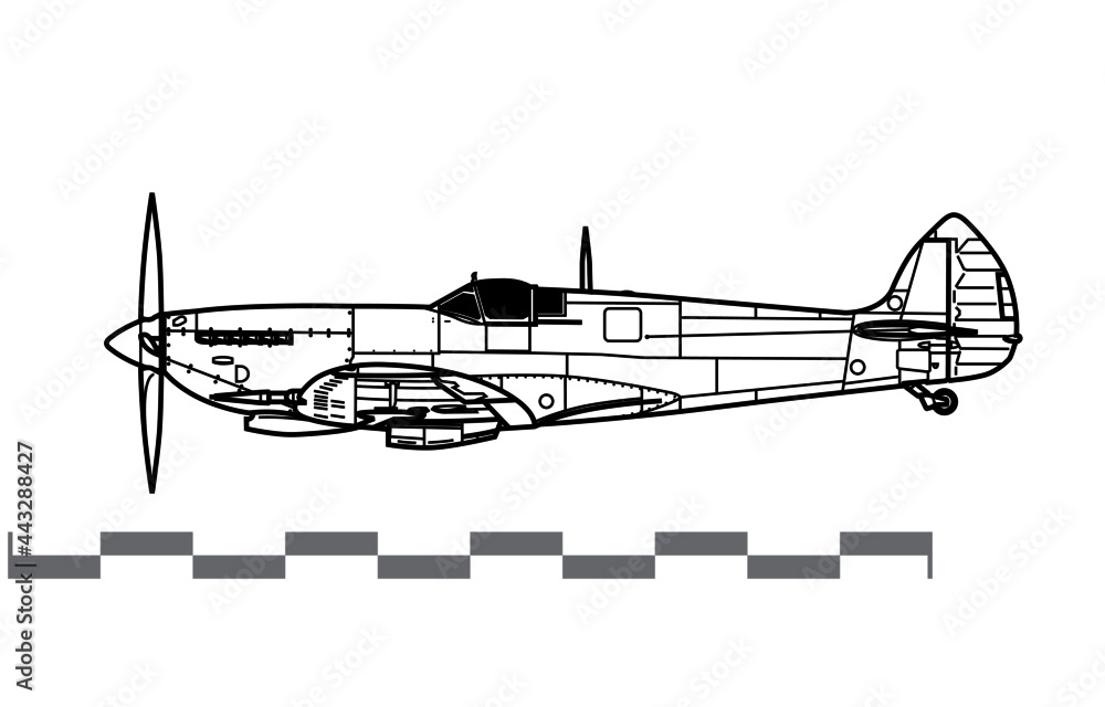 Supermarine Spitfire Mk IX. Vector drawing of WW2 British fighter ...