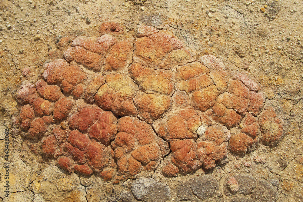 Photo Stock Close-up of an area of unusual yellow and red clay. The ...
