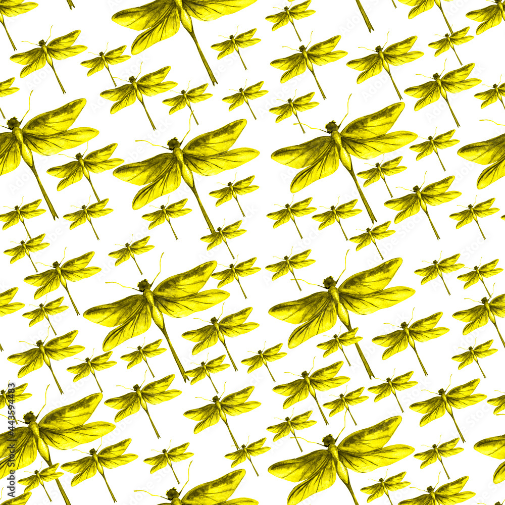 Big butterfly, mother. beautiful pattern with insects. Beetle with ...