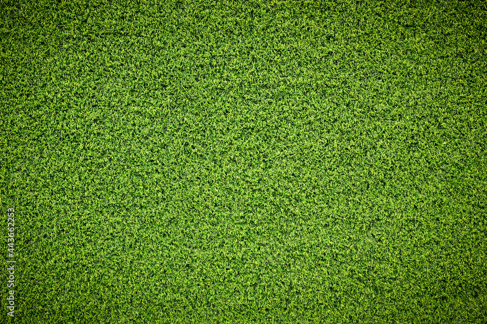 top view green grass texture for background Stock Photo | Adobe Stock