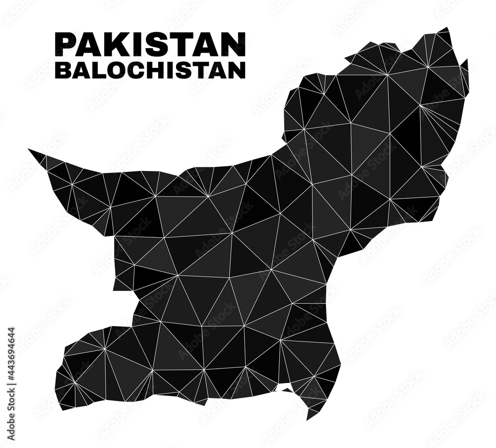 Image vectorielle Stock lowpoly Balochistan Province map. Polygonal ...