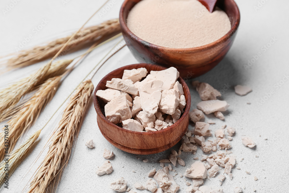 Composition with fresh and dry yeast on light background Stock Photo ...