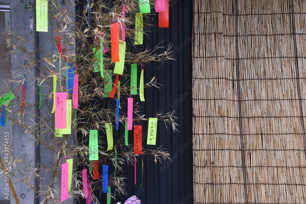 Japanese Tanabata Festival is held on July 7th every year, People write ...