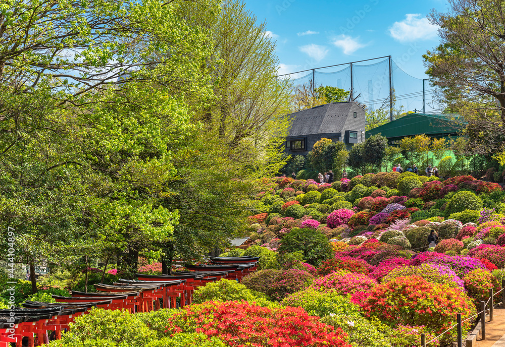 Overview of the hill of the garden of the Shintoist Nezu shrine adorned ...