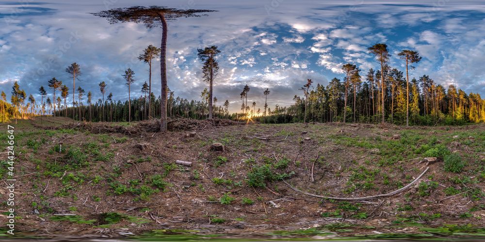 full spherical hdri panorama 360 degrees angle view on deforestation in ...