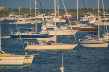 Crowded Harbor Free Stock Photo - Public Domain Pictures