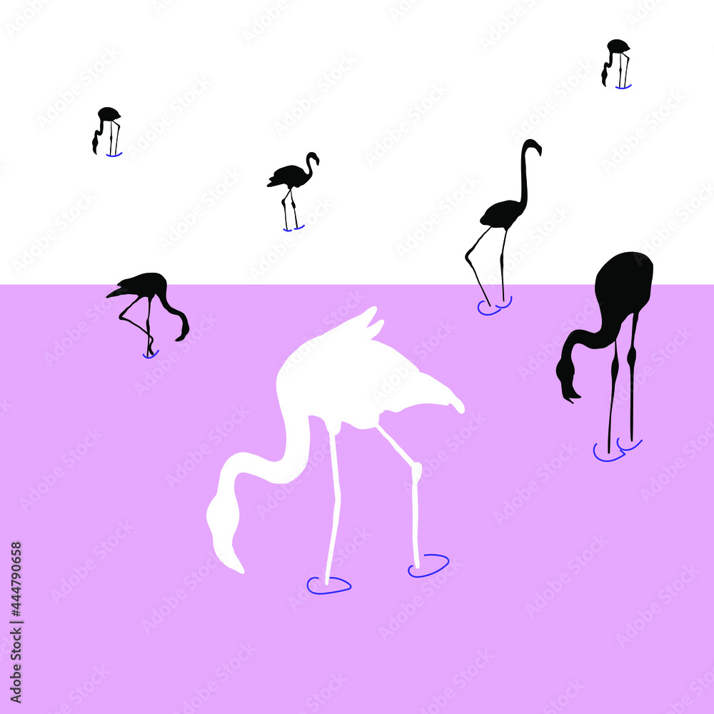flat colorful vector illustration of different sized flamingos in black ...