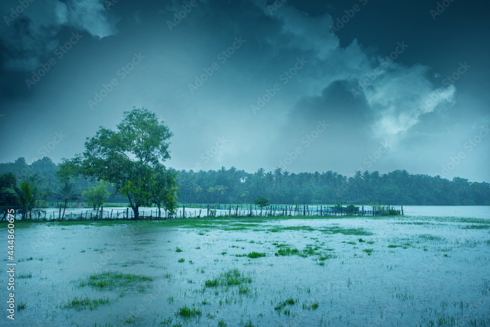 Beautiful landscape image with heavy rain, Monsoon rain in Kerala India ...