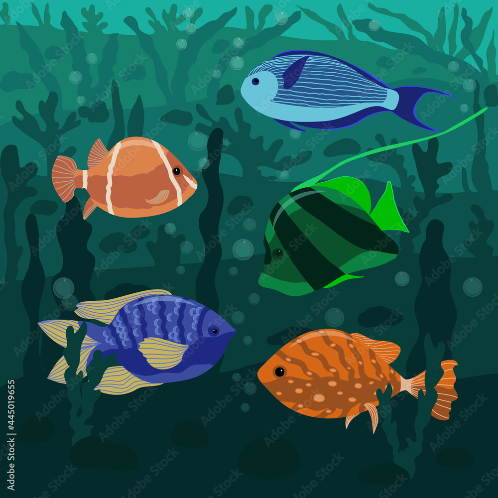 ocean swimming fish under water. Vector cartoon illustration Stock ...