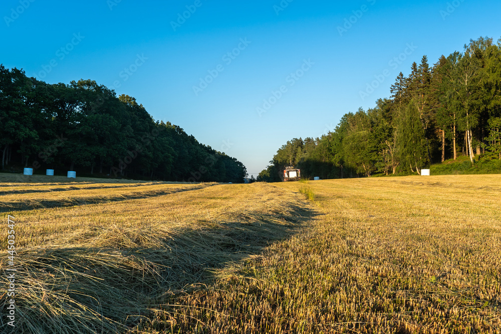 Harvesting hay. Haystacks are wrapped in plastic. Straw bales lying on ...