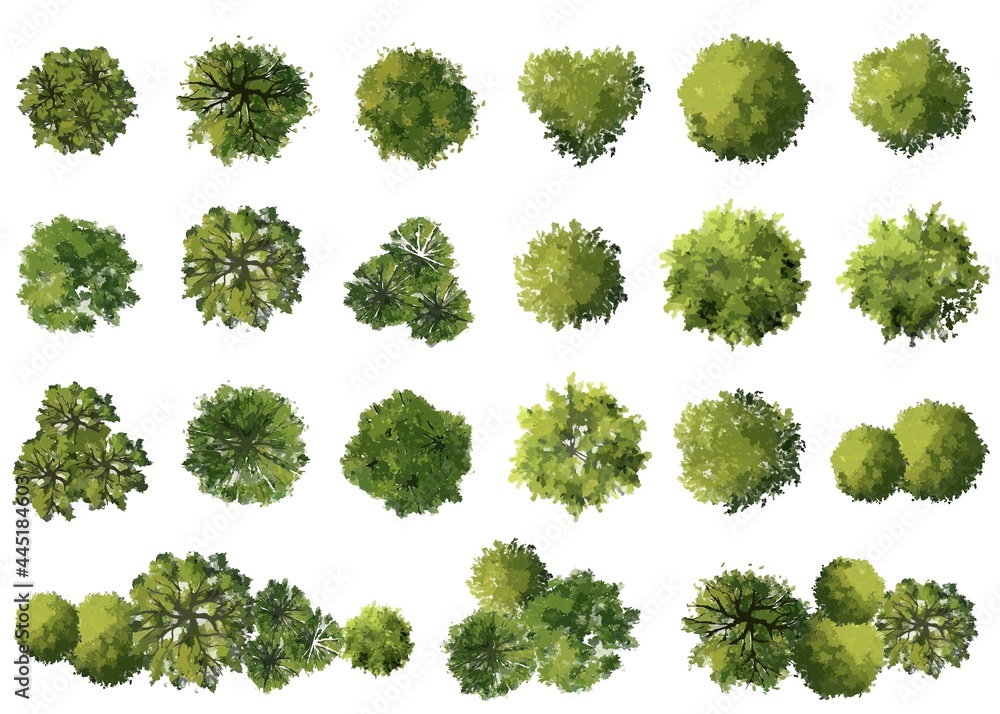 vector watercolor tree top view isolated on white background for ...