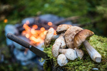 Campfire Flames Background Free Stock Photo - Public Domain Pictures