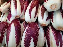 Peppermint Candy Bouquet Free Stock Photo - Public Domain Pictures