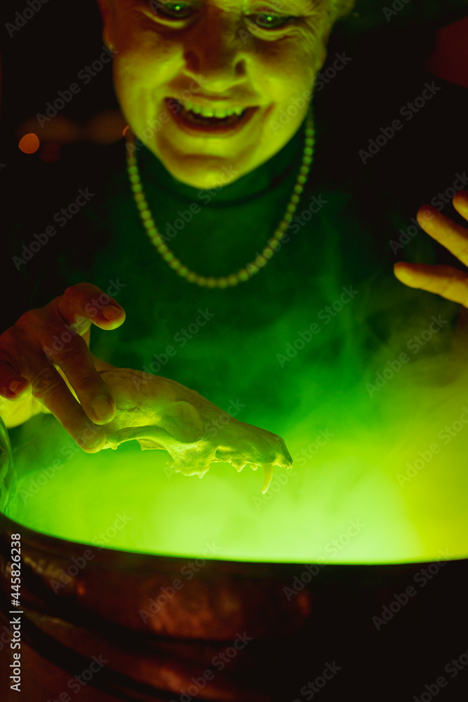 Foto Old classic fairy tale witch throwing a fox skull into a copper ...