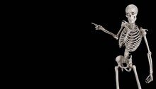 Scary Woman Skeleton Halloween Free Stock Photo - Public Domain Pictures
