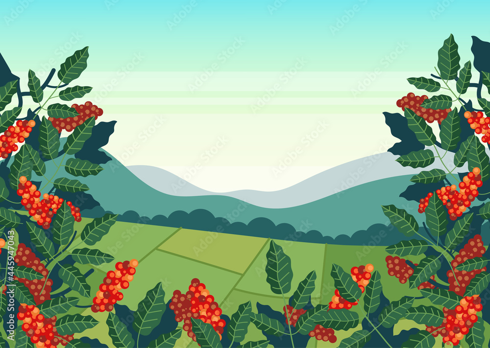 Coffee plantation field production concept. Vector flat cartoon design ...