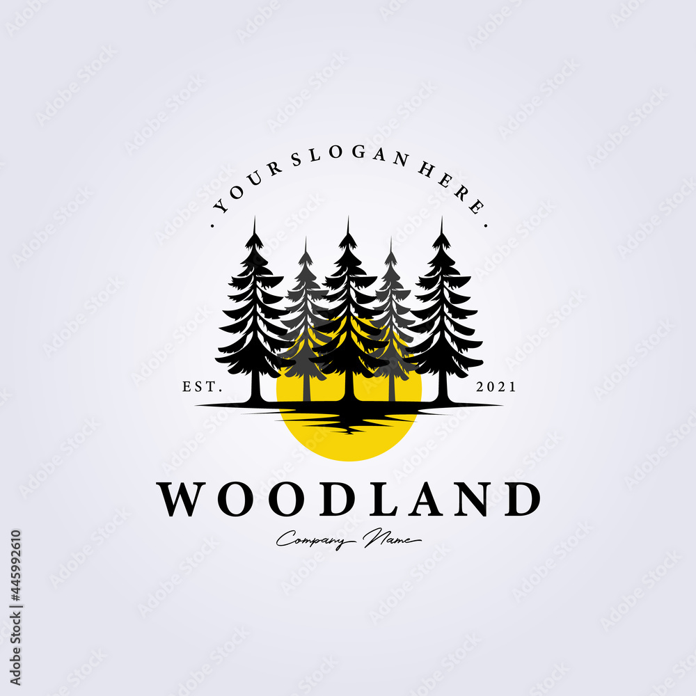 pine, evergreen, Rustic woodland logo Vintage retro fir, hemlock ...
