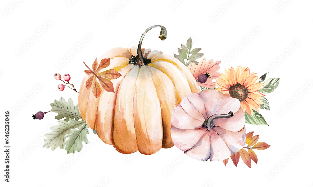 Watercolor fall pumpkin harvest clipart. Thanksgiving pumpkin ...