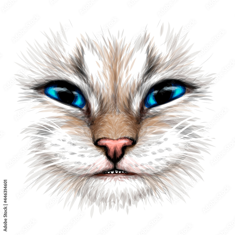 how to draw a happy cat