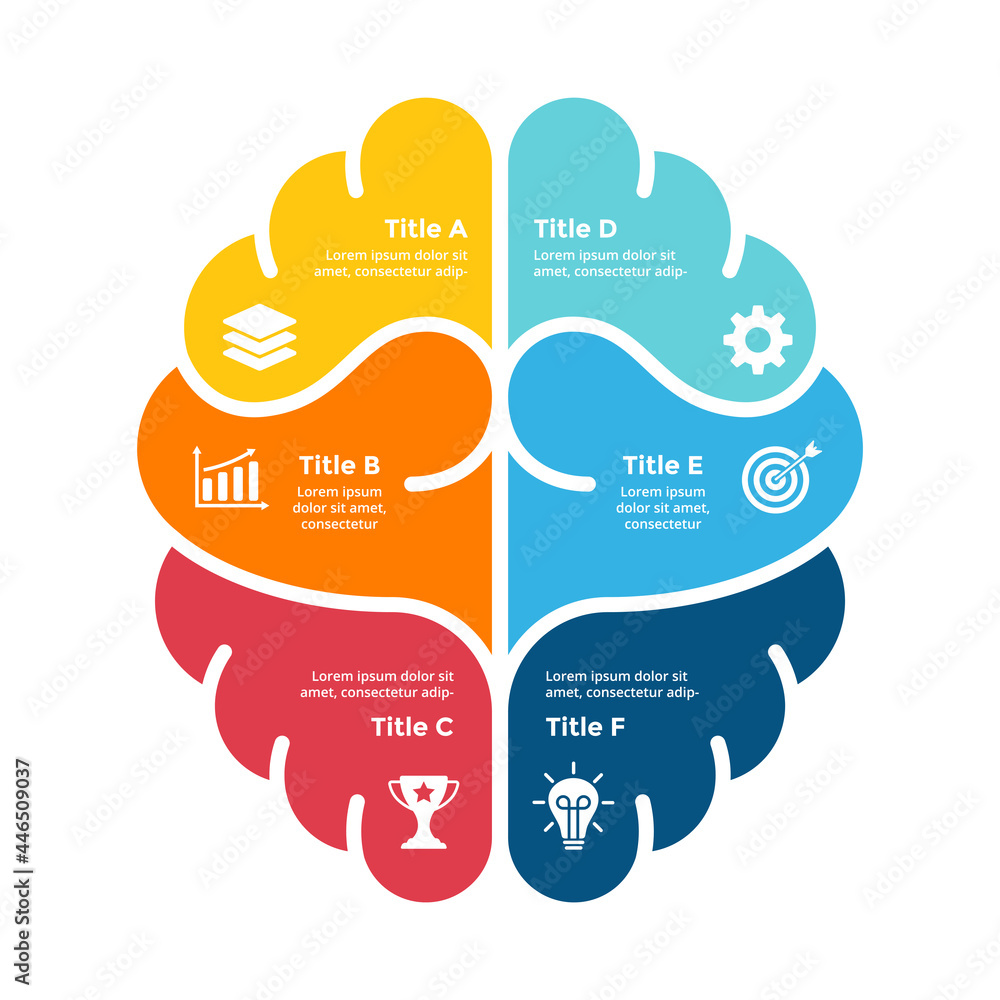 Human brain Infographic. Left and right hemispheres. Vector educational ...