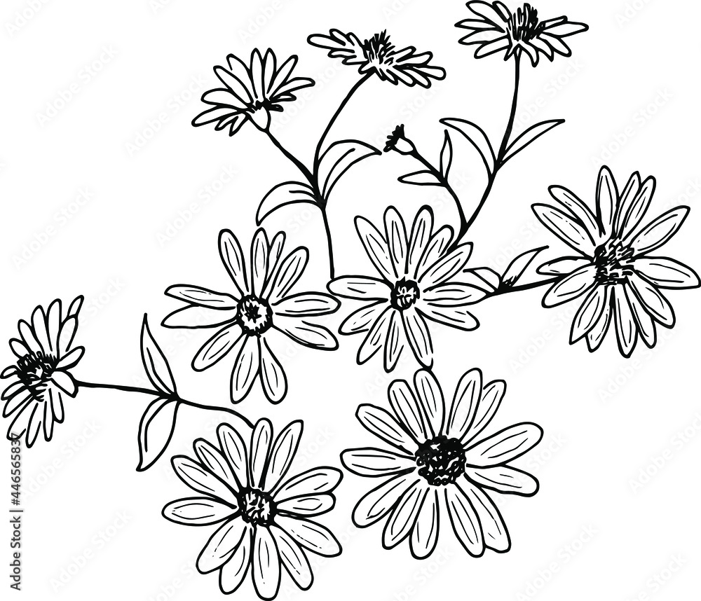 set of simple summer flowers drawings. abstract flower illustration ...