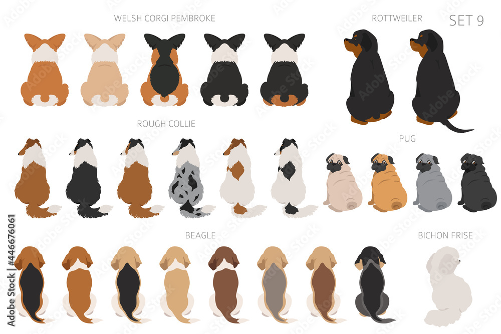 Sitting dogs backside clipart, rear view. Diifferent coat colors ...