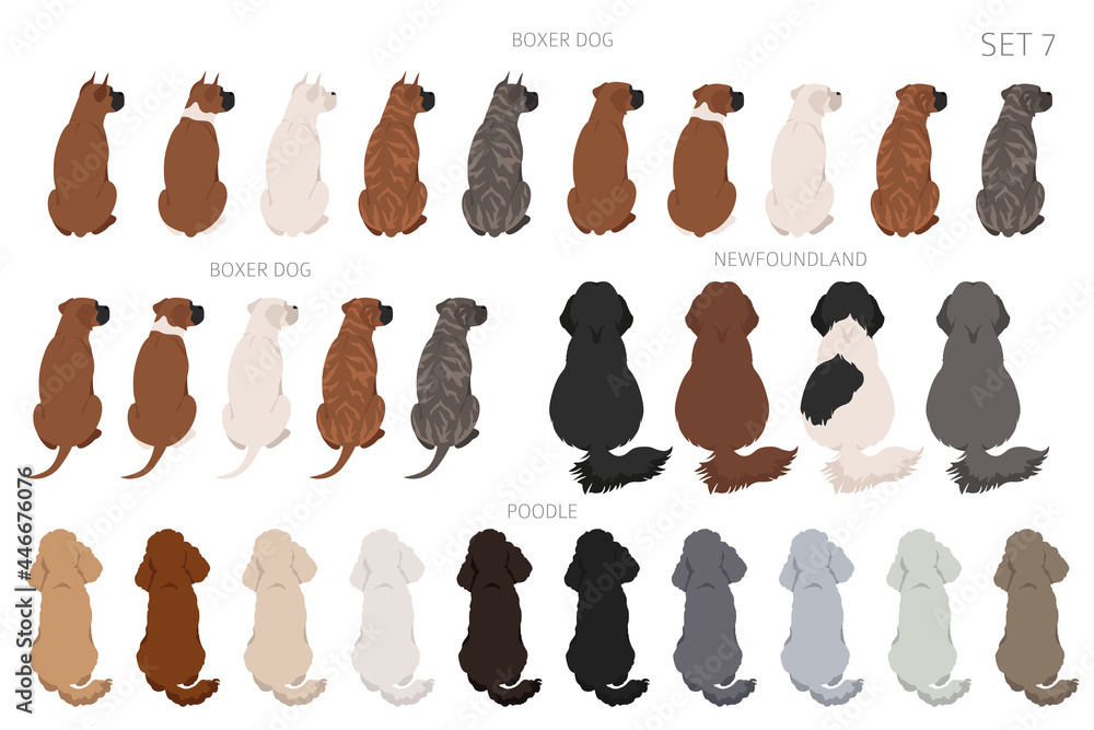 Sitting dogs backside clipart, rear view. Diifferent coat colors ...
