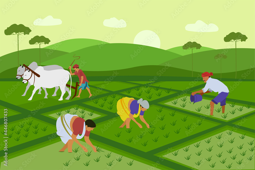 Indian agriculture working. Farmer harvesting in field asia vector background in cartoon style ...