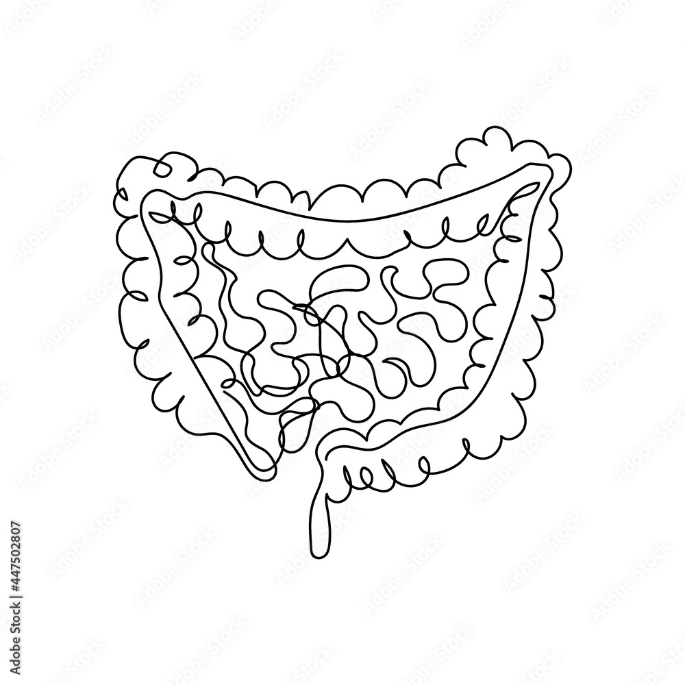Human intestines one line art. Continuous line drawing of human ...