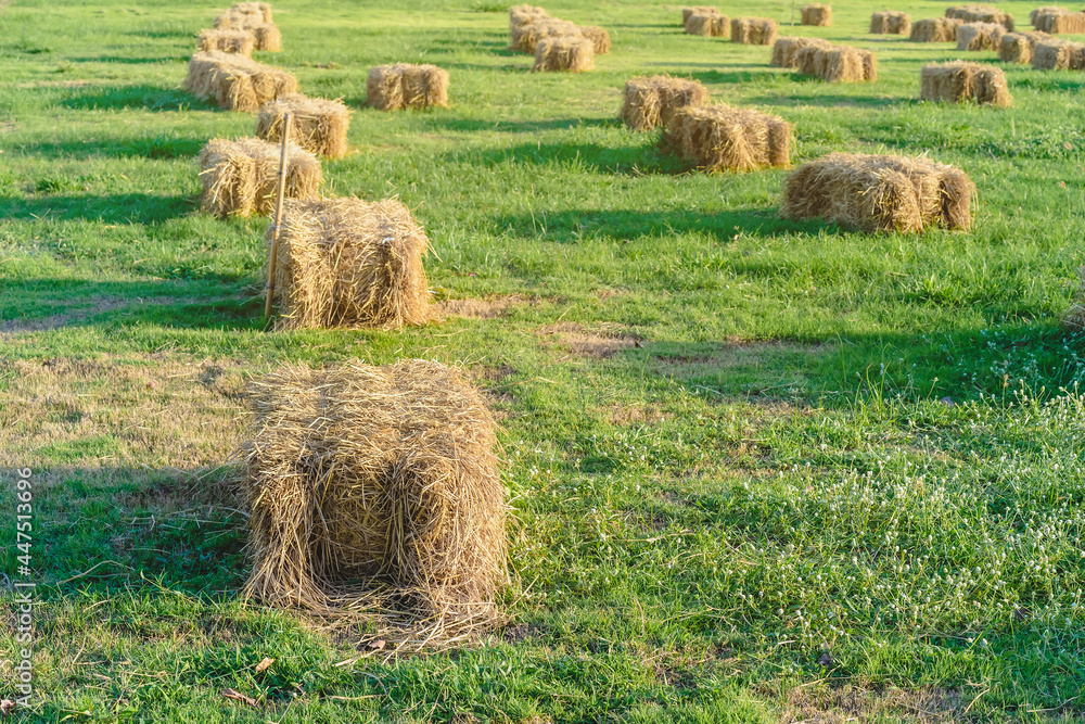 Seats and tables made from straw bales for event and party laid on lawn ...