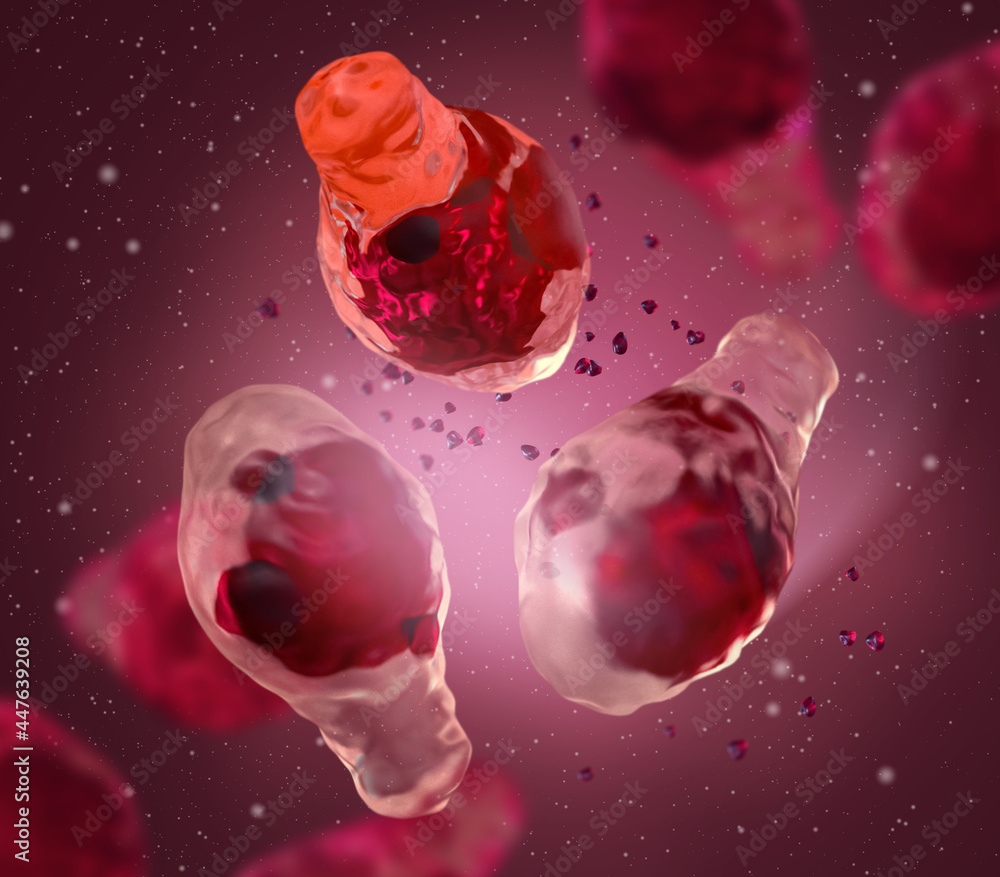 Medical background, Gram-positive spore-forming obligate anaerobic ...
