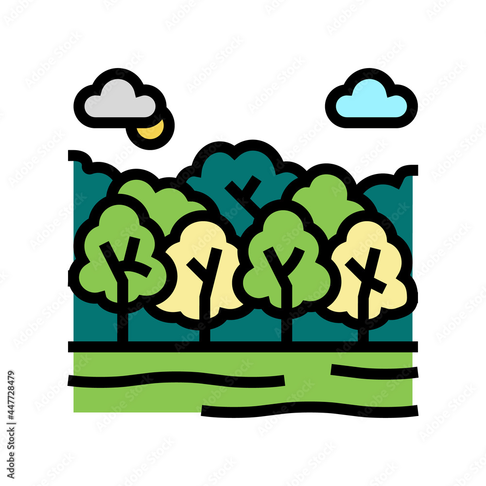 deciduous forests color icon vector. deciduous forests sign. isolated ...