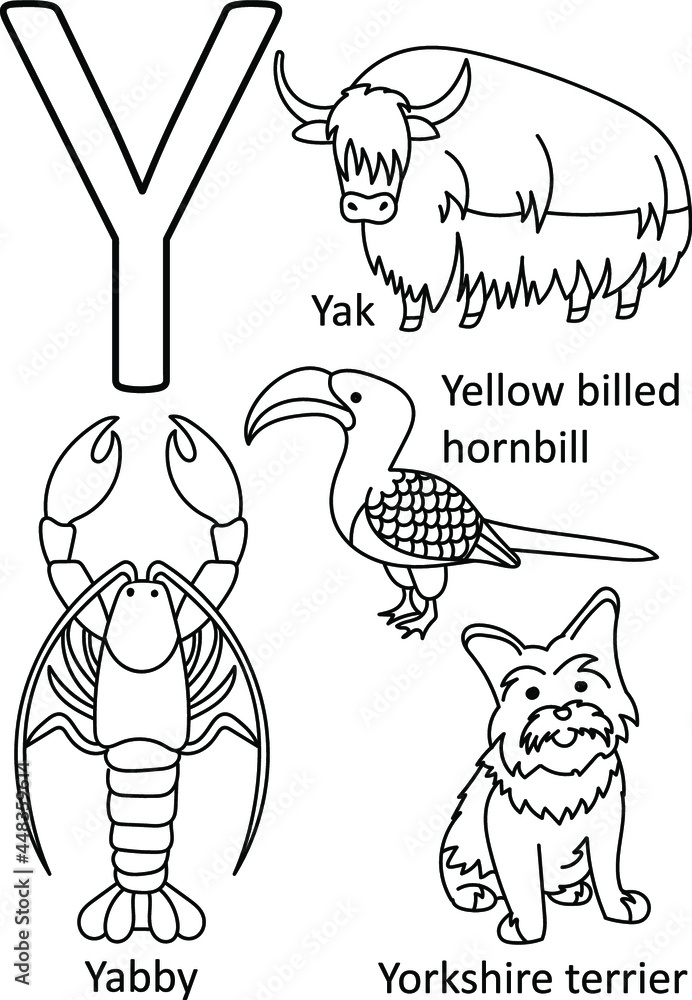 Y animals names, Alphabet coloring for kids, Alphabet animals coloring ...