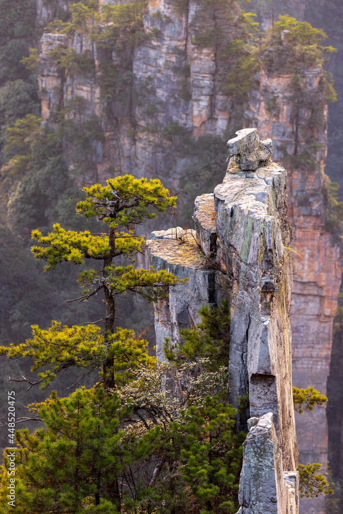 Zhangjiajie National Forest Park, Hunan Province, China, where the ...