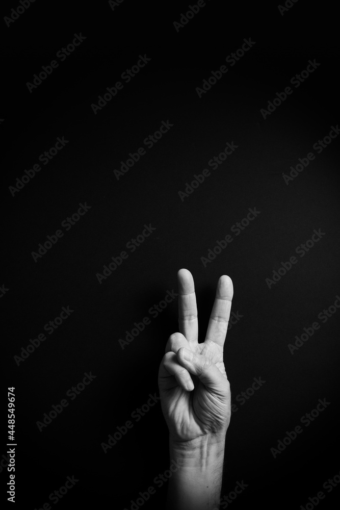 Foto de Stock B&W image of hand demonstrating ASL sign language letter ...
