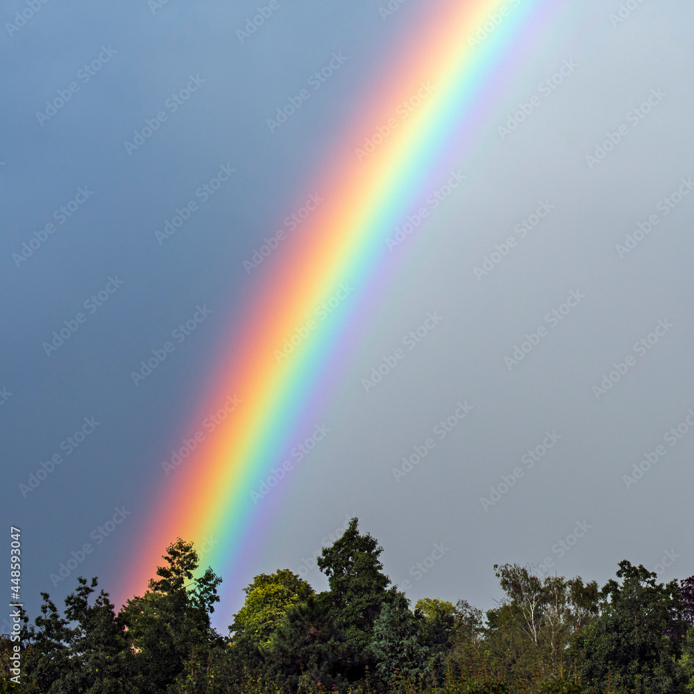Rainbow, multicoloured circular arc, meteorological phenomenon caused ...