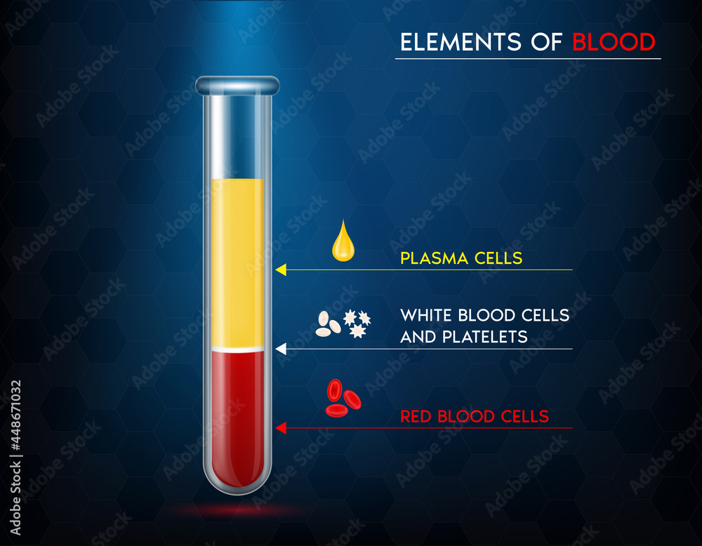 Elements of blood Red blood cell, plasma, white blood and platelets in ...