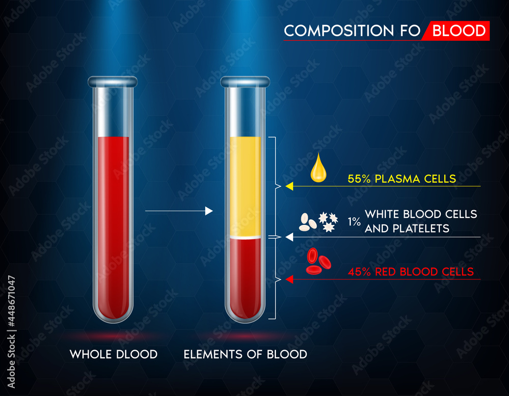 Elements of blood Red blood cell, plasma, white blood and platelets in ...