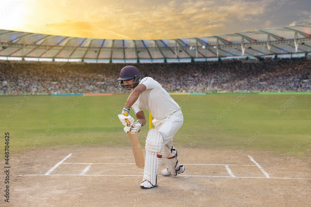 Cricketer batsman defending the ball Stock Photo | Adobe Stock