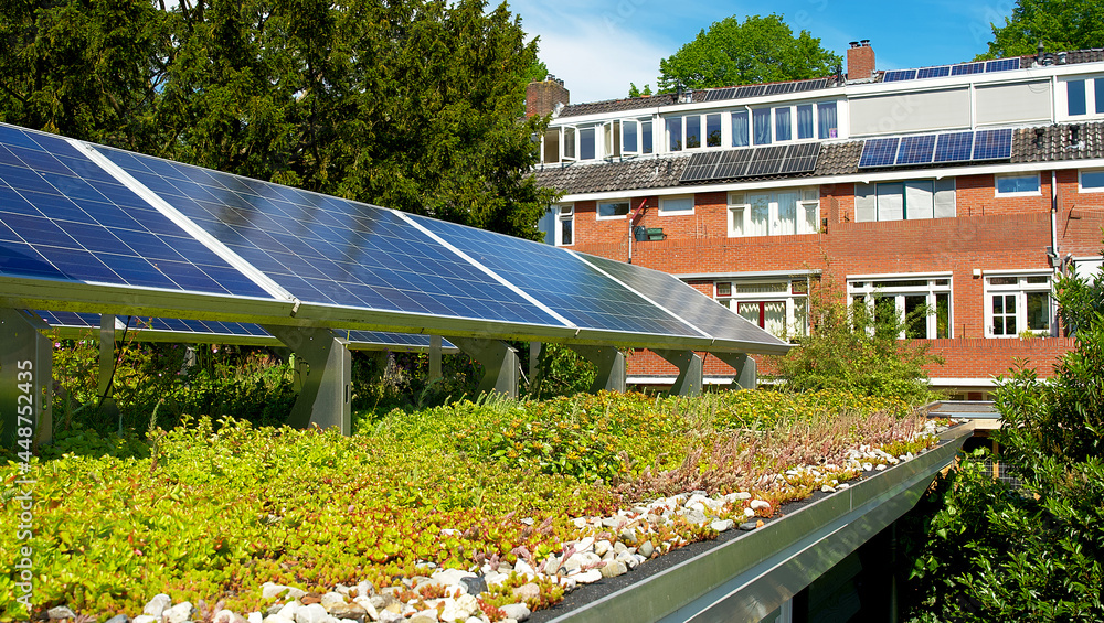Solar panels on a green rooftop with blooming sedum for climate ...