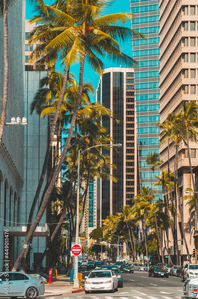 Street view of downtown Honolulu with high buildings,green palm trees ...