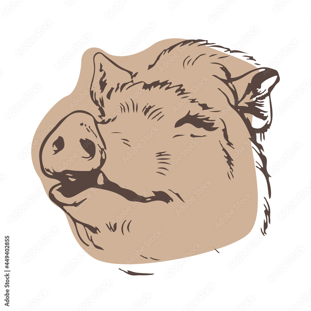 Realistic line drawing of a pig s head. Logo, symbol of livestock and ...