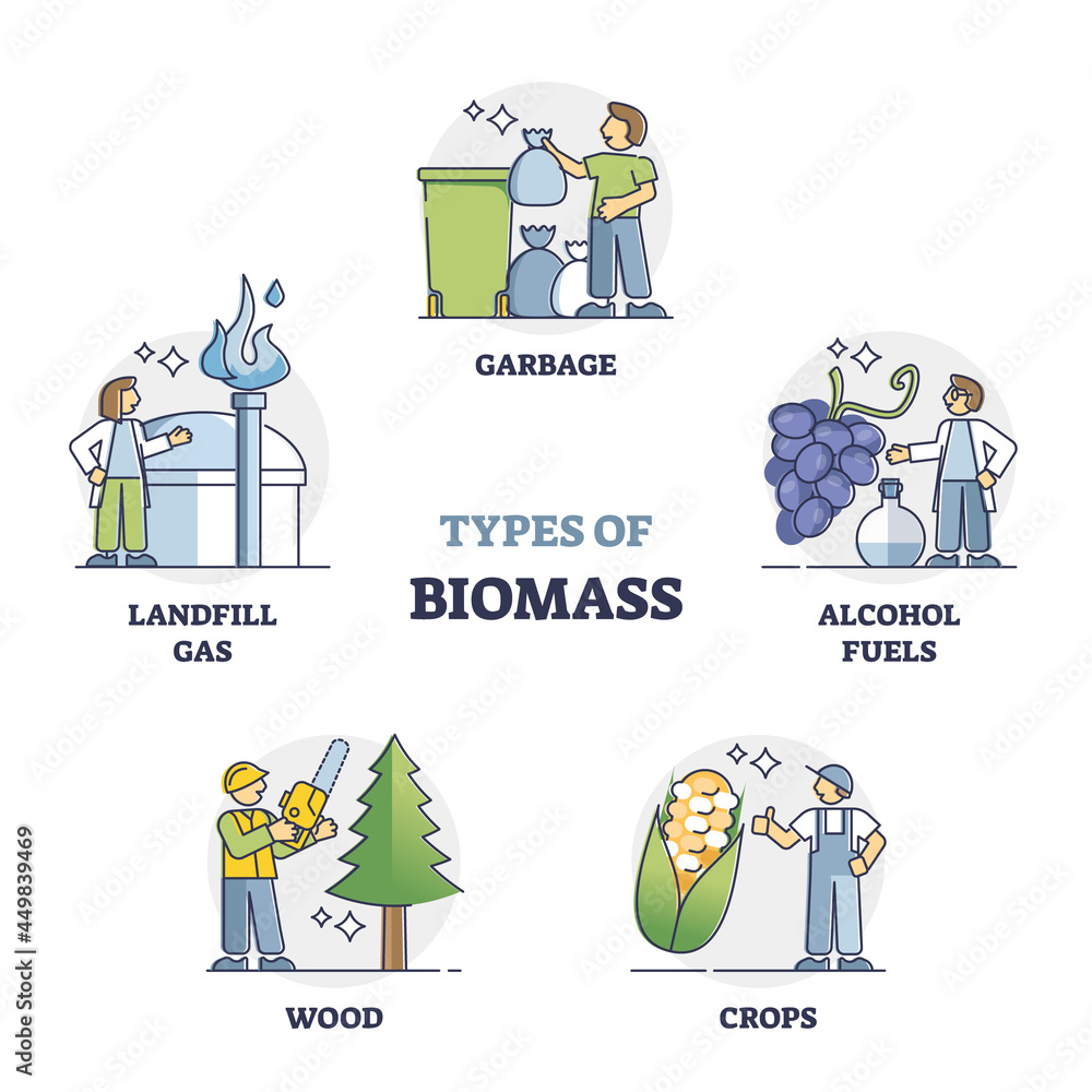 Types of biomass as natural resource for alternative power production ...