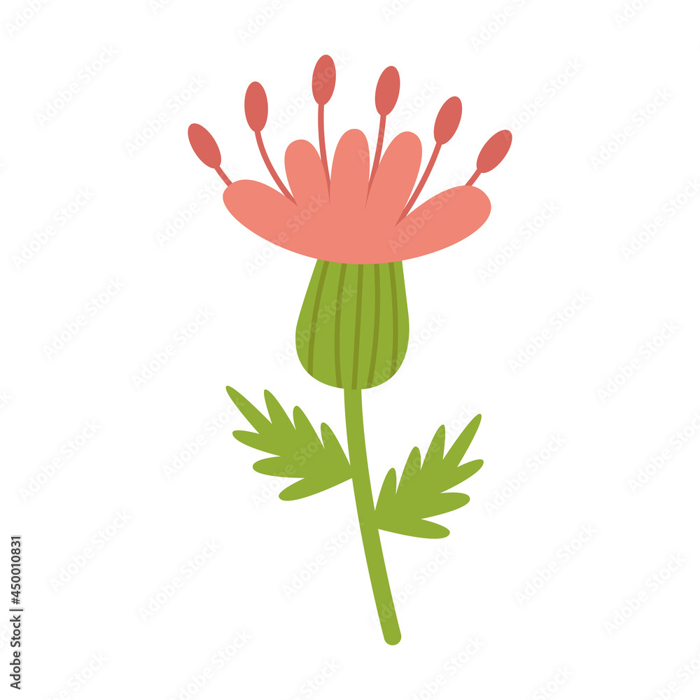 Thistle, a prickly honey plant, with a pink flower. Vector clipart ...