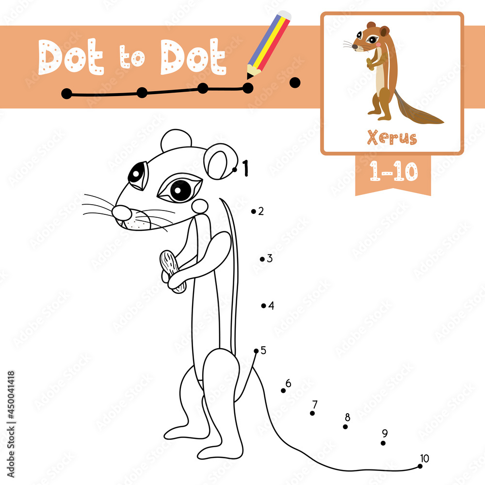 Dot to dot educational game and Coloring book Xerus animal cartoon ...