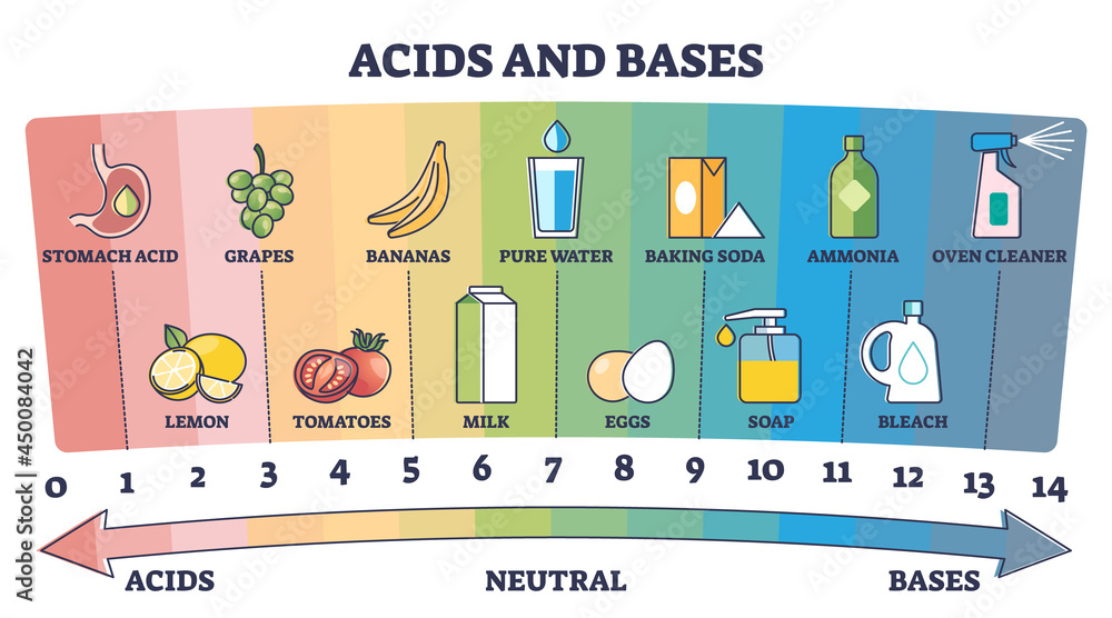 Acids, neutral and bases substances scale with examples outline diagram ...