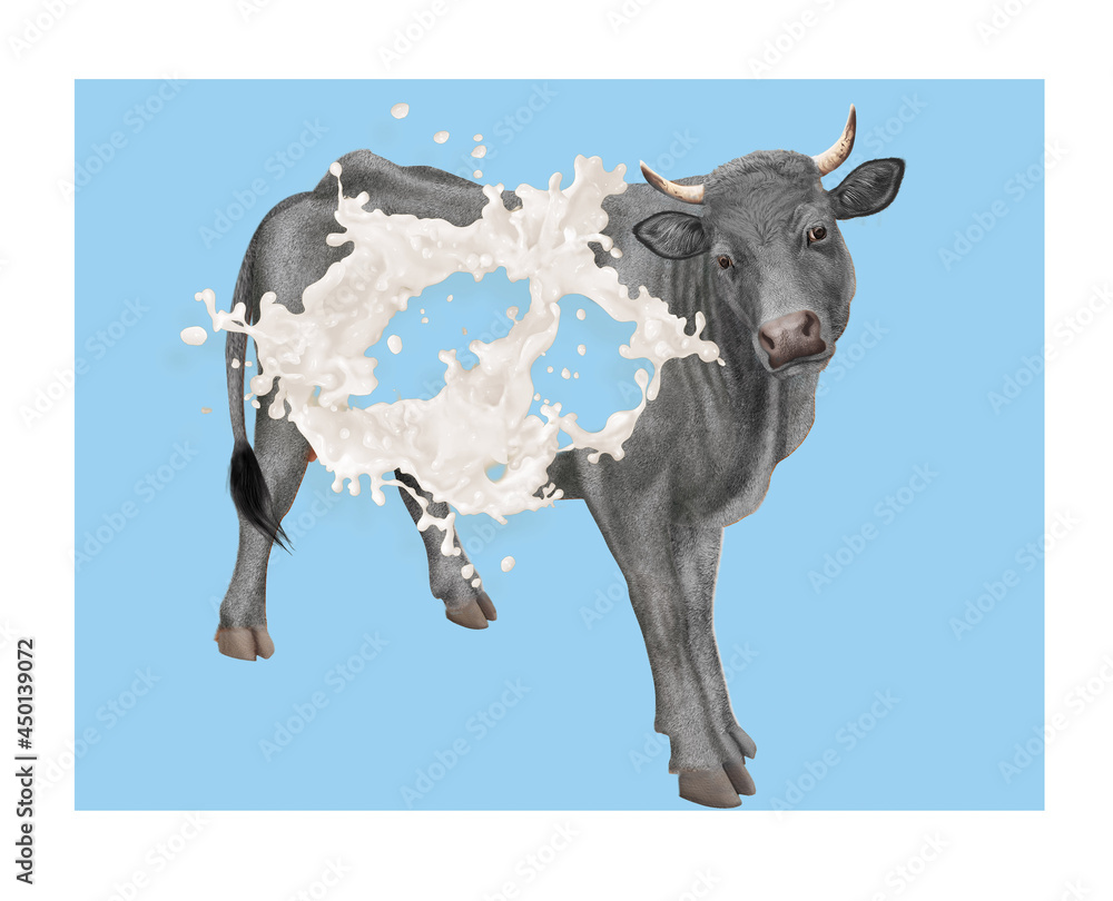 vache laitière, animal, plein de lait, explosion du lait, ventre, ferme ...
