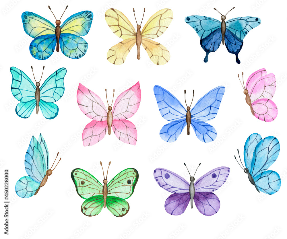 Set of watercolor boho butterfly. Watercolor hand drawn cute butterfly ...