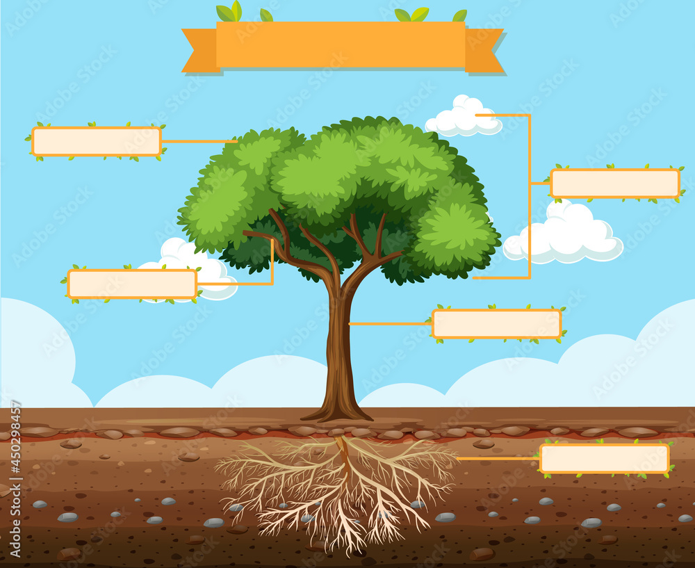 Write parts of a tree worksheet for kids Stock Vector | Adobe Stock