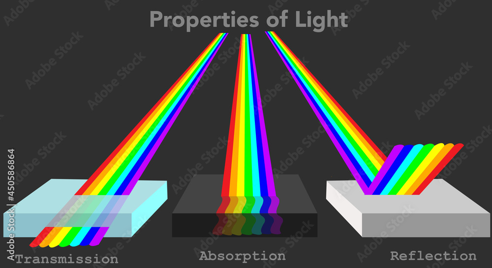 Properties of light anatomy. Reflection, absorption, transmission ...